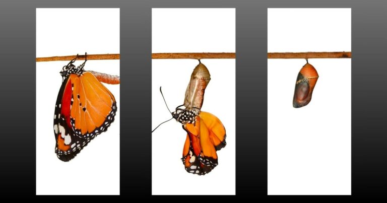 What is Photo Essay in Photography (13 Examples You Can Try)