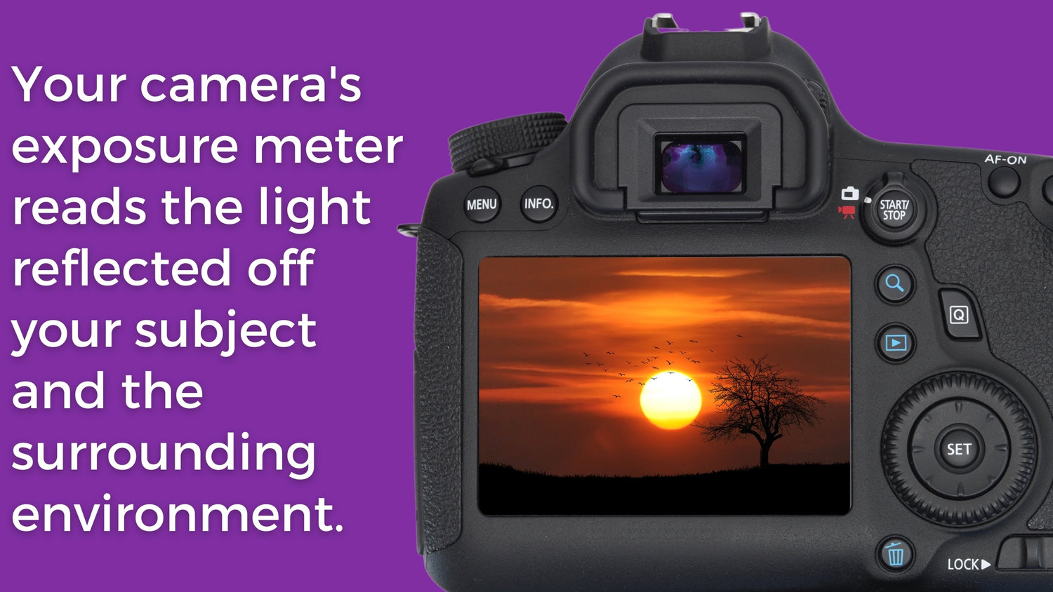 Understanding Metering Modes and How They Affect Photos